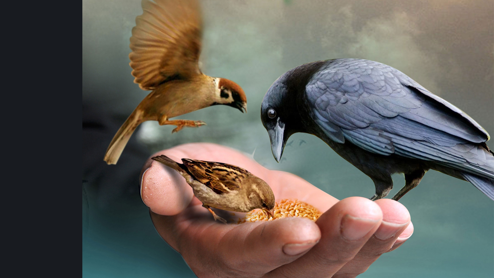 Dobročinstvo - Ehlibejt